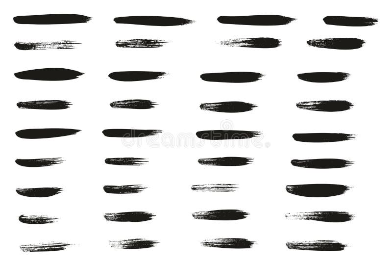 Calligraphy Paint Thin Brush Lines High Detail Abstract Vector ...
