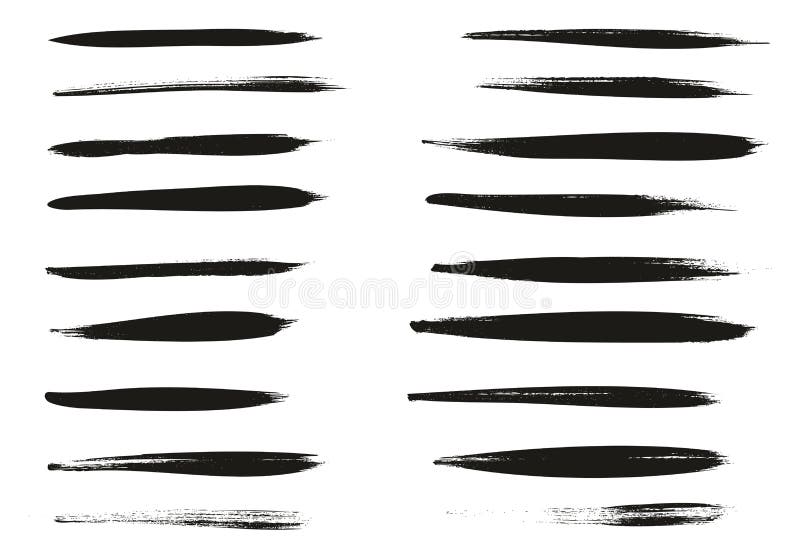 Calligraphy Paint Thin Brush Lines High Detail Abstract Vector ...