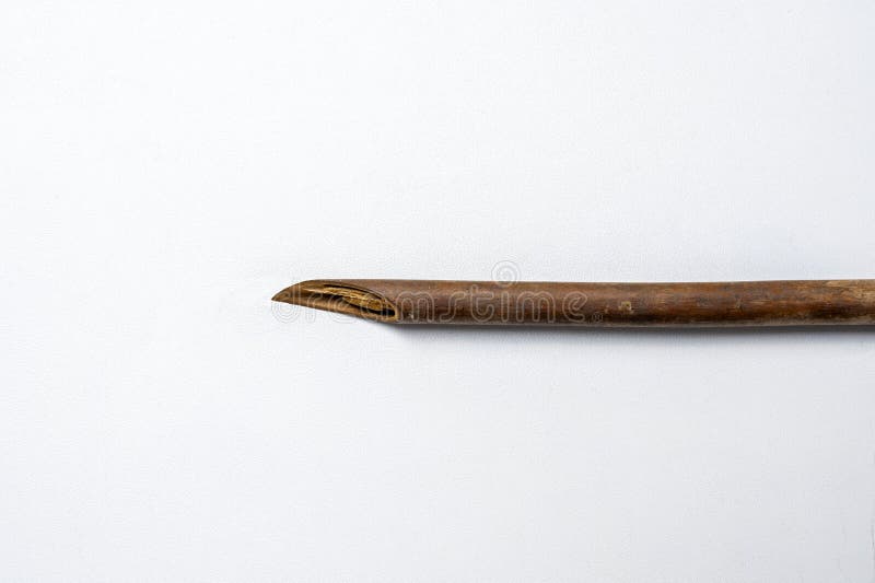 Calligraphy Reeds Isolated Over White Background Stock Photo - Image of ...