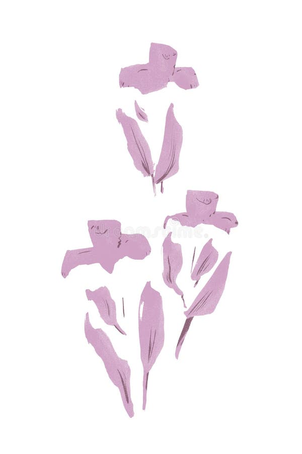 Calligraphy Simple Iris Flowers with Rough Texture Isolated on White ...