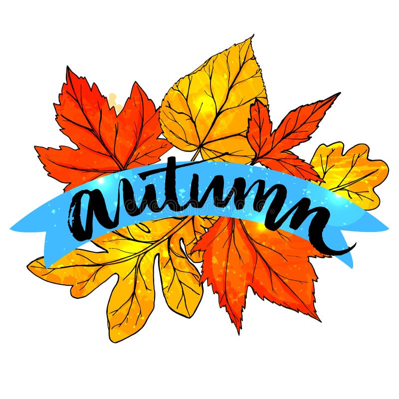 Calligraphy Word Autumn Handwritten at Orange Stock Vector ...