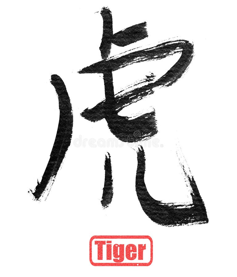 Calligraphy word, tiger stock illustration. Illustration of concept ...