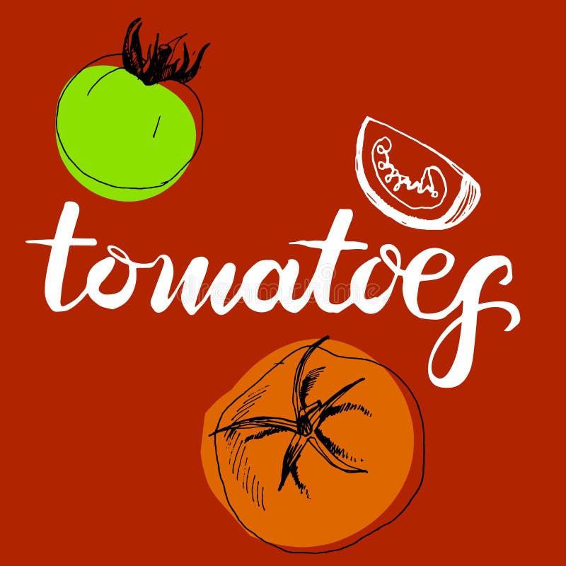 Calligraphy word tomatoes stock vector. Illustration of natural - 180092091
