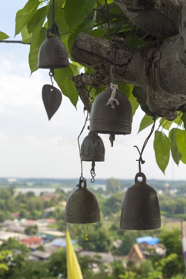 Calls to the tree. stock image. Image of green, chains - 84428941