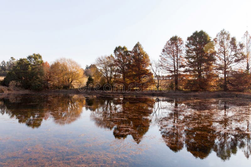 Calm autumn lake stock image. Image of fall, peaceful - 43062213