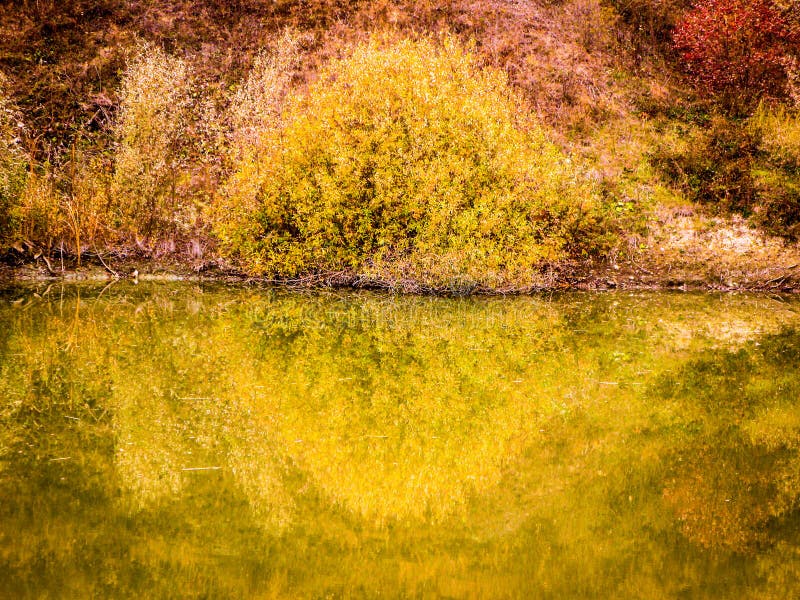 Calm Autumn Pond stock photo. Image of cloudy, autumn - 132857312