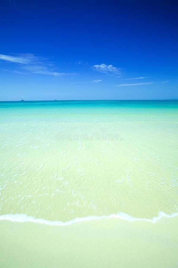 Calm Beach with Dunes and Green Grass. Tranquil Ocean Stock Image ...