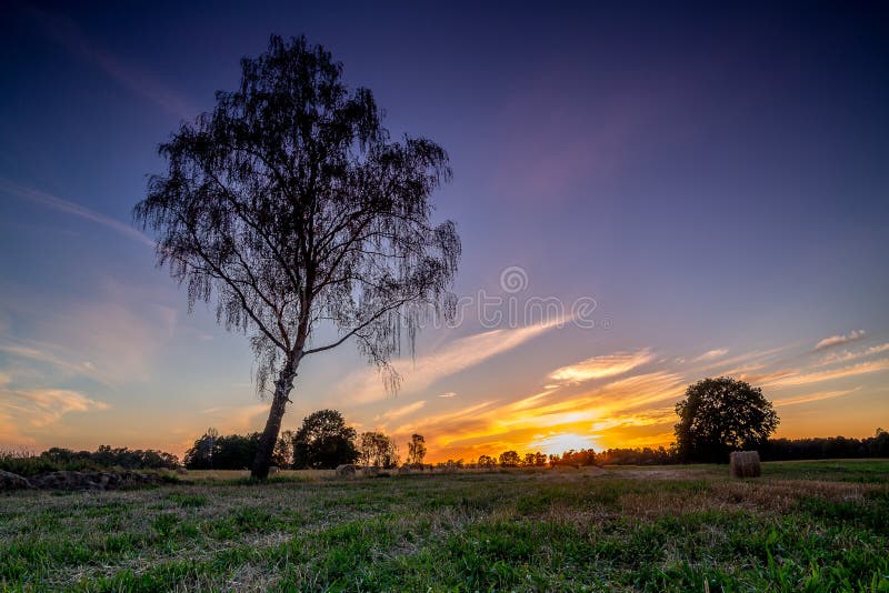 Calm Beauty of Summer Village Stock Image - Image of wind, grass: 85793935