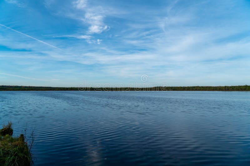 Wils Forest Northern Lake in Forest Wide Angle Stock Photo - Image of ...