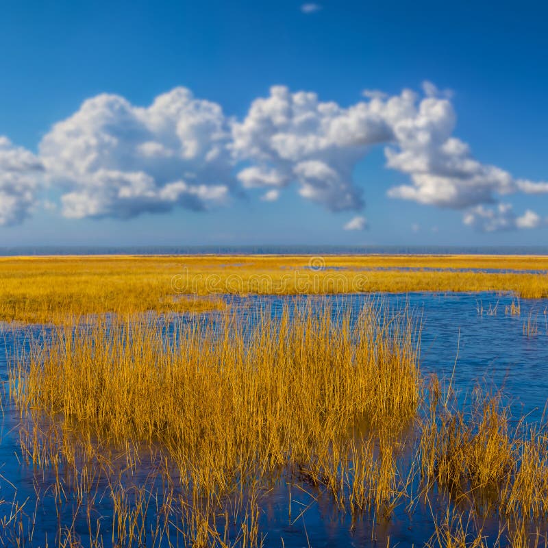 Calm Blue Lake among Dry Prairie Under a Cloudy Sky Stock Illustration ...