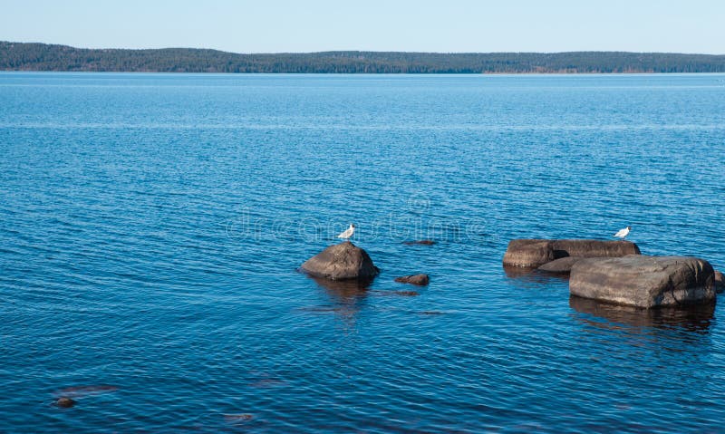 Calm Blue Lake with Stones and Birds on Them Stock Image - Image of ...