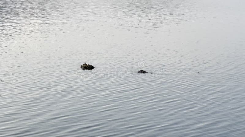 Calm Blue Water of a Lake Reflection of Cloud and Sky. Texture of Water ...