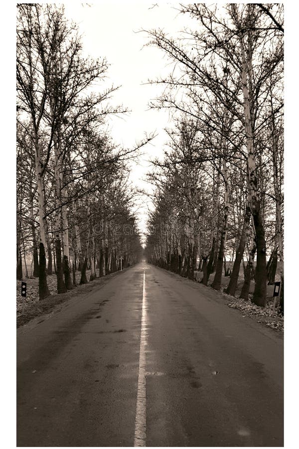 A road to destiny stock illustration. Illustration of infrastructure ...