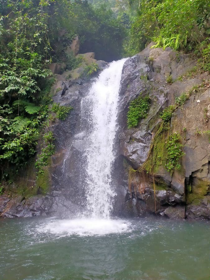 Calm and Cool Waterfall, Clean Water without Pollution Stock Photo ...