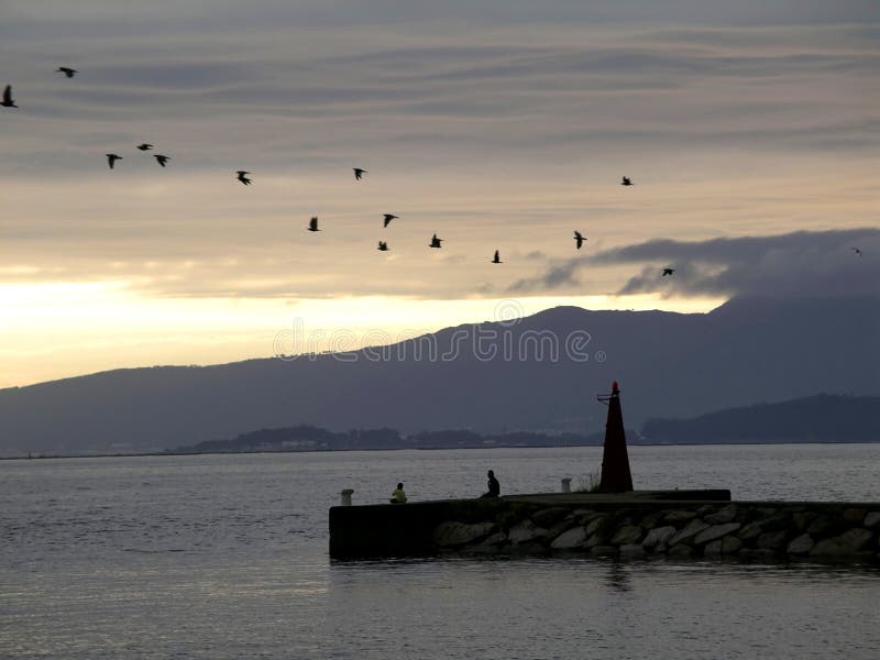 Calm Evening Sea, Sunset Clouds Stock Image - Image of background ...