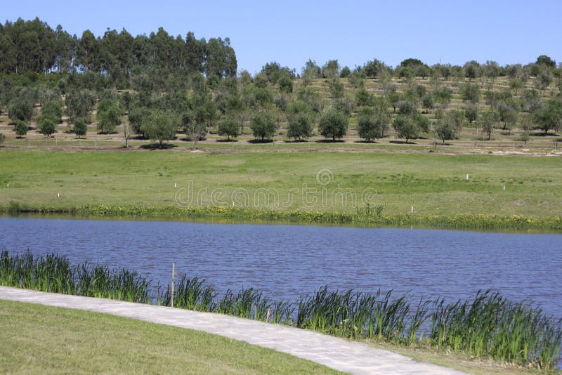 Calm farm stock photo. Image of lake, farm, uruguay, calm - 68817052