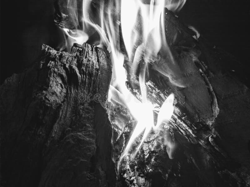 Calm Fire in Black and White Stock Photo - Image of dark, white: 178240120