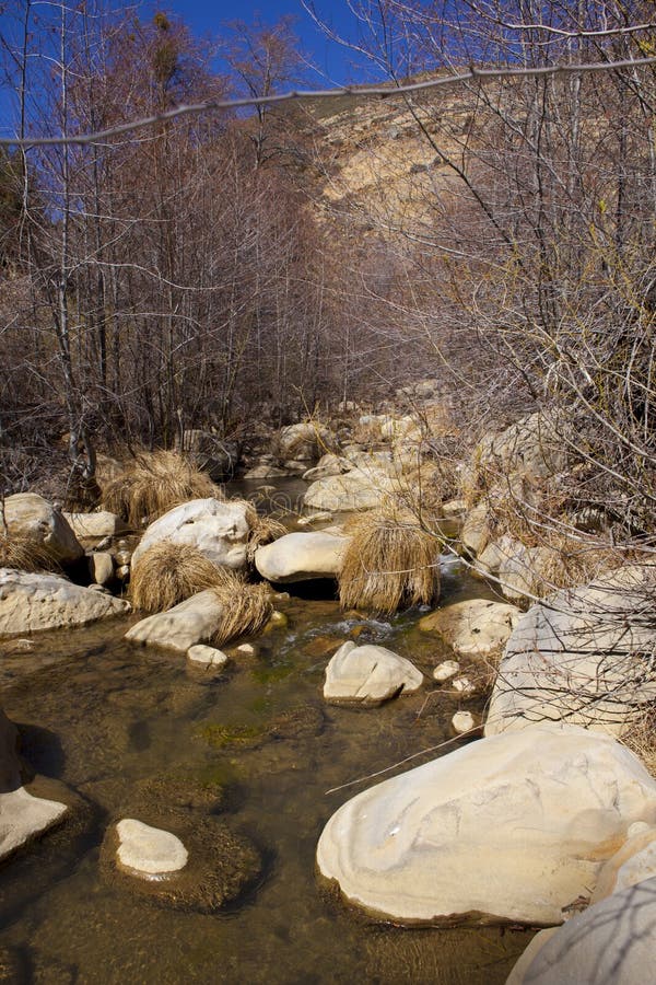 Calm Flowing Creek with Rocks Stock Image - Image of peaceful, branches ...