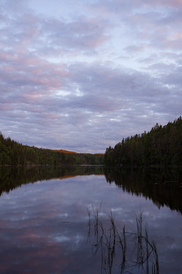 Calm Forest Lake at Midsummer Night Sky Reflection Stock Image - Image ...