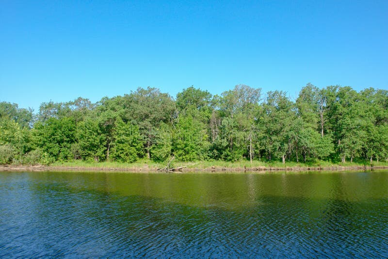 Calm Forest Lake on a Quiet Sunny Day. Summer Landscape Stock Photo ...