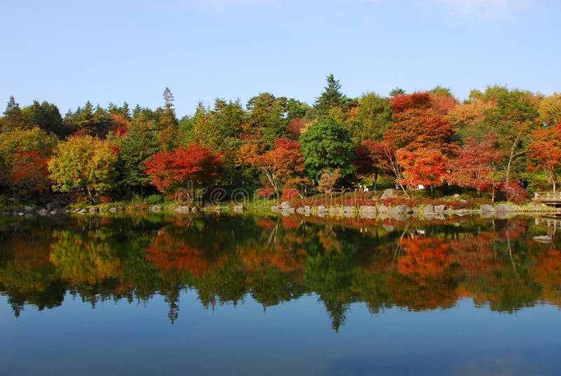 Calm lake autumn foliage stock photo. Image of leaf, colorful - 55159042