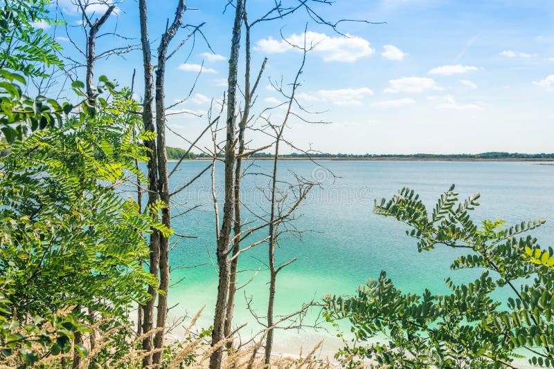 Calm lake behind the trees stock image. Image of landscape - 202269467