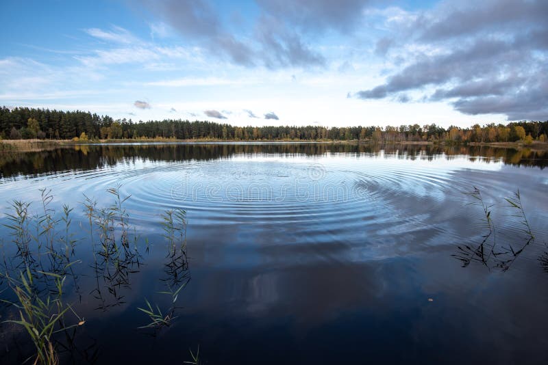 Calm Lake in Bright Sun Light with Reflections of Clouds and Trees and ...