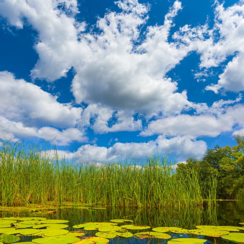 2,689 Calm Blue Reed Coast Stock Photos - Free & Royalty-Free Stock ...