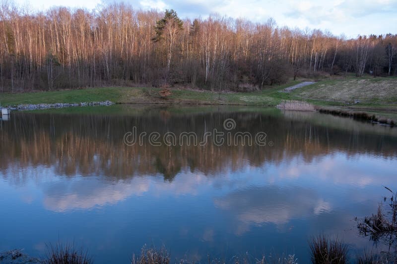 Calm Lake with Forest Reflection Stock Photo - Image of season ...