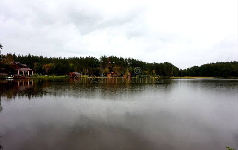 The Calm Lake after the Rain in the Forest. Stock Photo - Image of ...