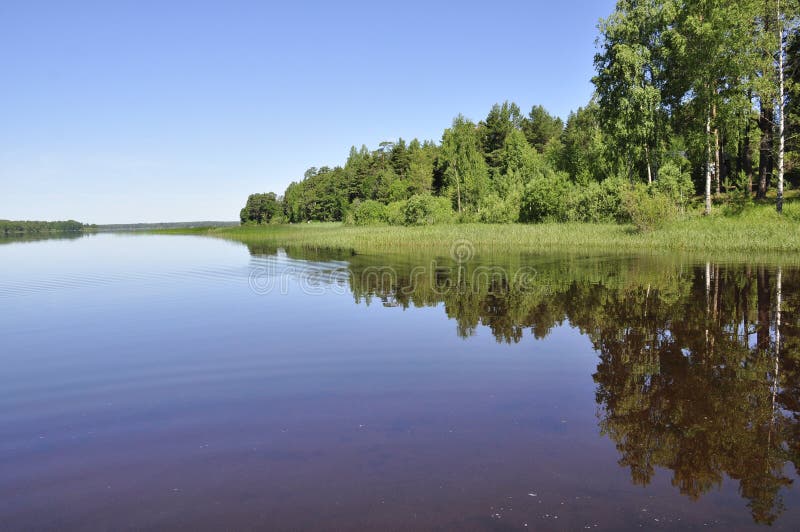 Calm lake reflection stock photo. Image of reflected - 14984422