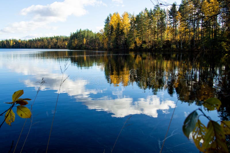 Calm Lake with a Reflection of the Trees and Clouds Stock Photo - Image ...