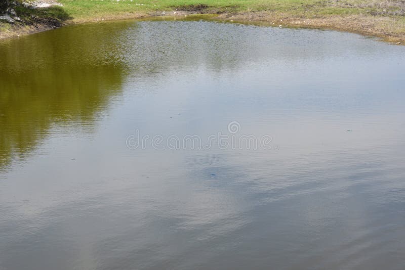 Calm Lake Water stock image. Image of water, dirt, brown - 99945435