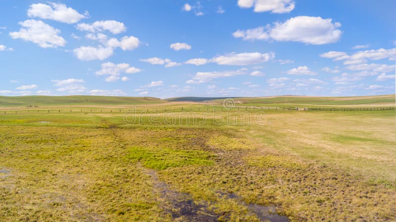 Calm Landscape with Green Grass Stock Photo - Image of green, summer ...