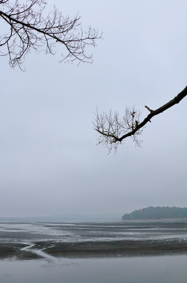 Calm Landscape with Lake and Tree Branches . Stock Image - Image of ...