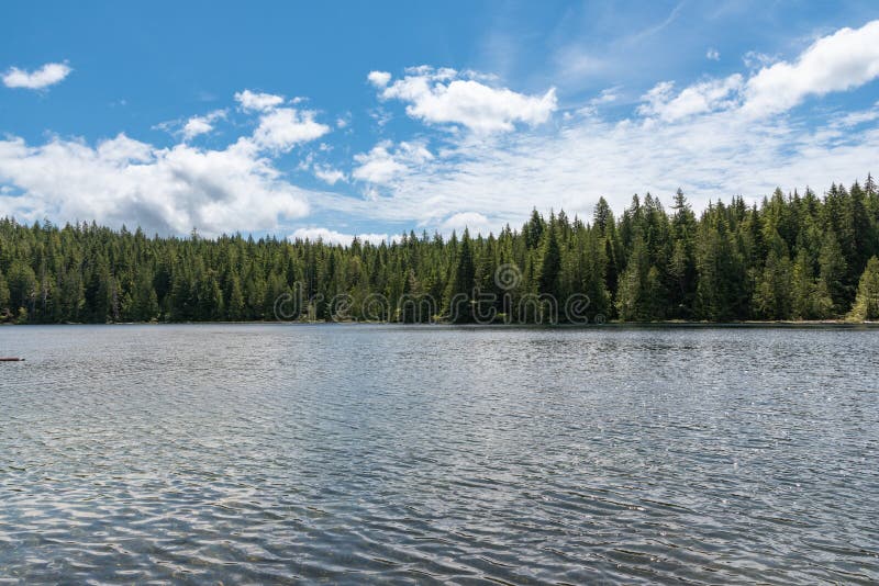 Calm Mountain Lake with a Deep Green Forest on the Background Stock ...