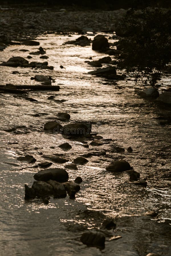 Calm Mountain River Surface Stock Image - Image of nature, fresh: 243706127