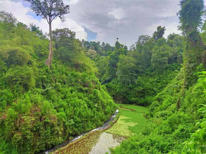 Calm Nature Green and Outstanding Beautiful Stock Image - Image of ...