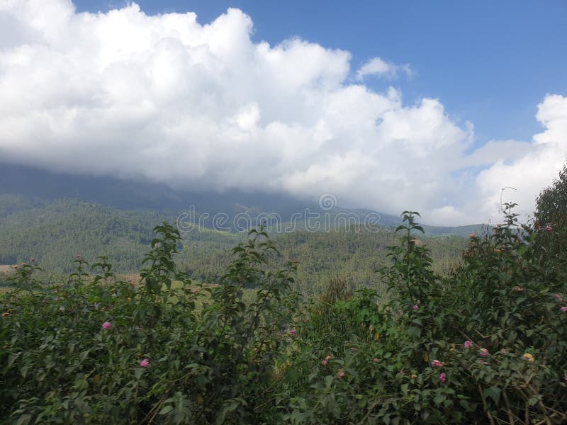 Calm Nature View, Beautiful Scenery Stock Image - Image of nature, view ...