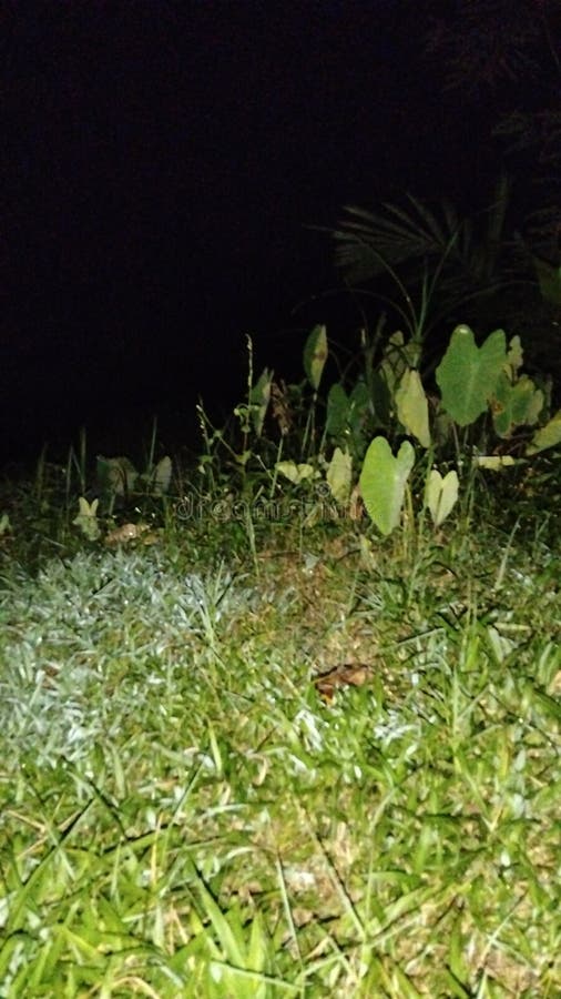 The calm of the night stock image. Image of slow, calm - 377986697