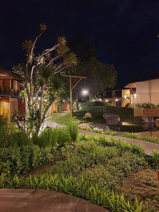Calm night garden resort stock photo. Image of sunlight - 222482704