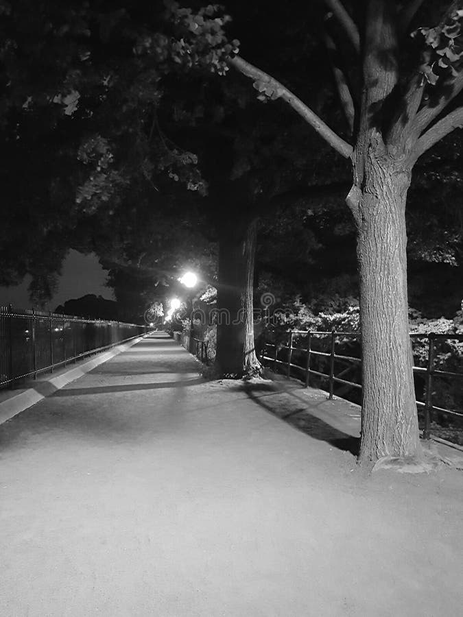 Calm night walk stock image. Image of night, central - 76675795