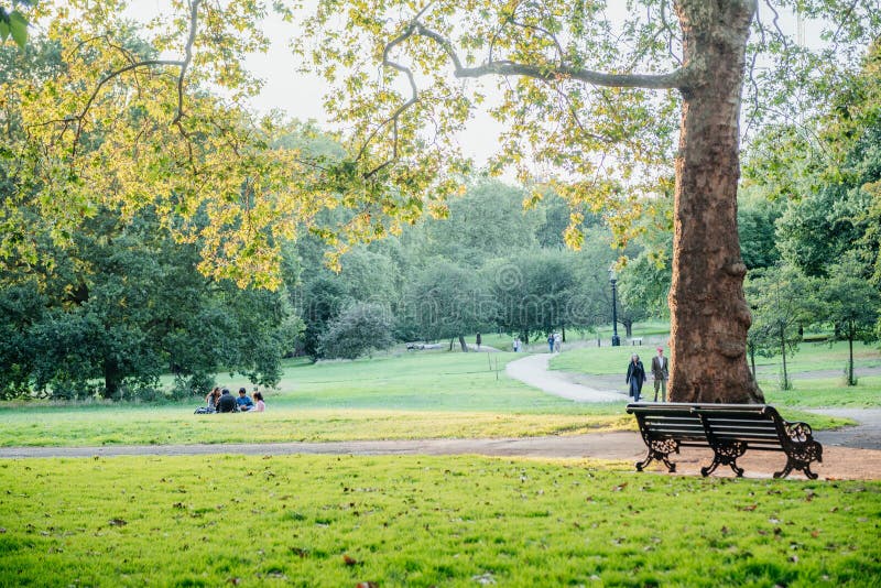 Sunlight through Trees in a Quiet London Park Stock Image - Image of ...