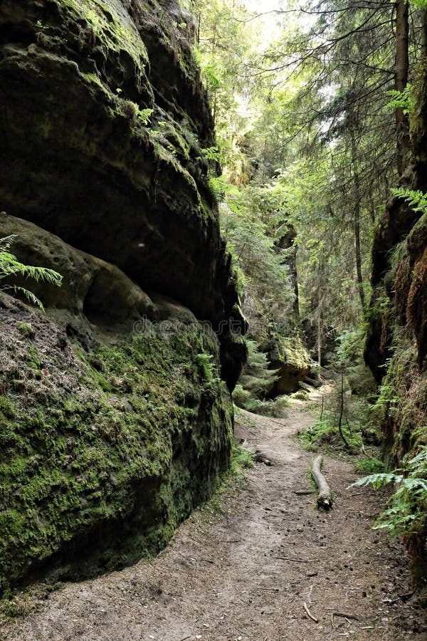 Calm Pass between Moss Covered Rocks in the Forest Stock Photo - Image ...