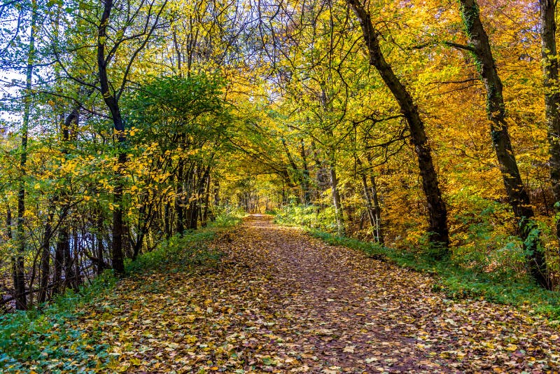 Calm Path Under Colorful Trees at Autumn, Bratislava, Slovakia Stock ...