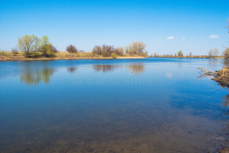 Calm Pond in a Beautiful Spring Day. Stock Photo - Image of landscape ...