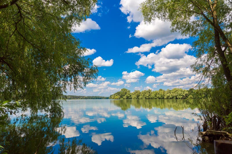 Calm pond and water plants stock image. Image of pond - 187940029