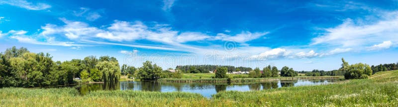 Calm pond and water plants stock image. Image of lake - 187940723