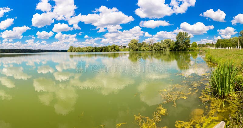 Calm pond and water plants stock image. Image of ecology - 189702411