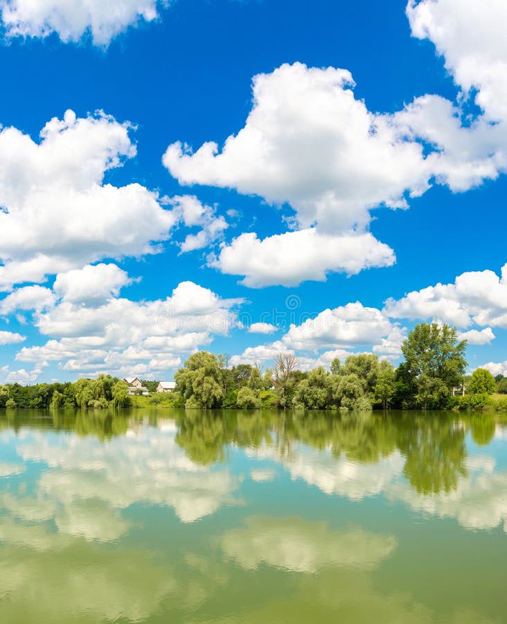Calm pond and water plants stock photo. Image of morning - 190354290